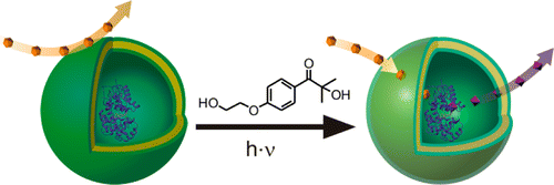 Photoreaction of a Hydroxyalkyphenone with the Membrane of Polymersomes ...
