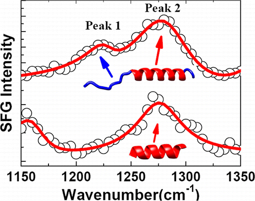 Accurate Determination of Interfacial Protein Secondary Structure by ...