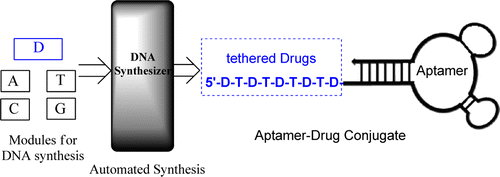 Automated Modular Synthesis of Aptamer–Drug Conjugates for Targeted ...