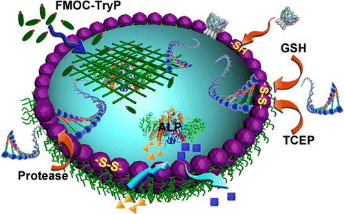 Design and Construction of Higher-Order Structure and Function in ...