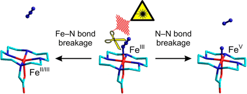 The Photochemical Route to Octahedral Iron(V). Primary Processes and ...