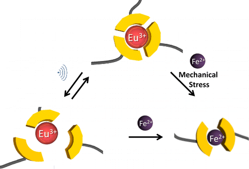 Mechanochemistry with Metallosupramolecular Polymers,Journal of the ...