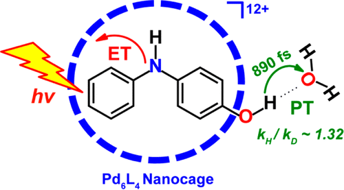 纳米笼内的光诱导质子耦合电子转移,Journal of the American Chemical Society - X-MOL