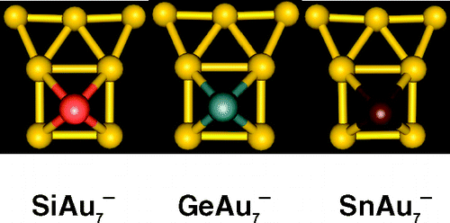 Structural Evolution of Doped Gold Clusters: MAux−(M = Si, Ge, Sn;x= 5− ...