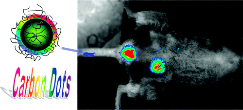 Carbon Dots for Optical Imaging in Vivo,Journal of the American ...