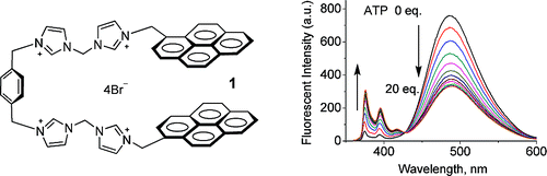 Unique Sandwich Stacking of Pyrene-Adenine-Pyrene for Selective and ...