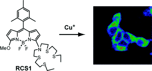 Visualizing Ascorbate-Triggered Release of Labile Copper within Living ...