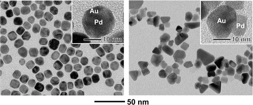 通过受控过度生长合成 Pd-Au 双金属纳米晶体,Journal of the American Chemical Society - X-MOL