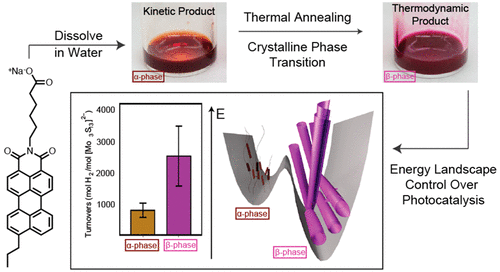 Crystal-Phase Transitions and Photocatalysis in Supramolecular ...