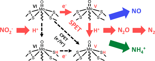 Selective Electrocatalytic Reduction of Nitrite to Dinitrogen Based on ...