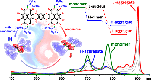 Concurrent Cooperative J-Aggregates and Anticooperative H-Aggregates ...