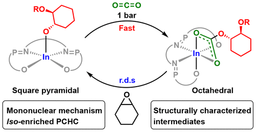 Indium Catalysts for Low-Pressure CO2/Epoxide Ring-Opening ...