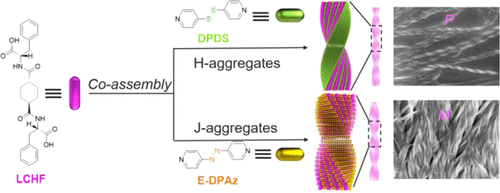 Controlling Supramolecular Chirality of Two-Component Hydrogels by J ...