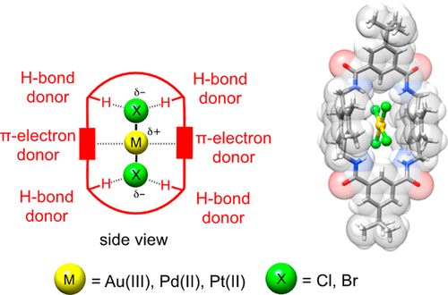 Macrocyclic Receptor for Precious Gold, Platinum, or Palladium Coordination Complexes,Journal of ...