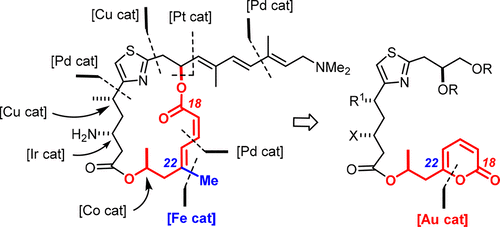 Catalysis-Based Total Syntheses of Pateamine A and DMDA-Pat A,Journal ...