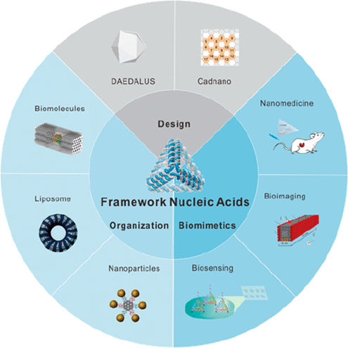 Concept and Development of Framework Nucleic Acids,Journal of the ...