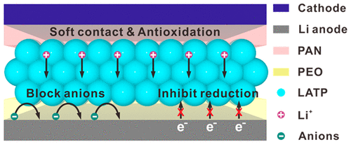 Engineering Janus Interfaces of Ceramic Electrolyte via Distinct ...