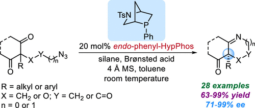 Catalytic Asymmetric Staudinger-aza-Wittig Reaction for the Synthesis of Heterocyclic Amines ...