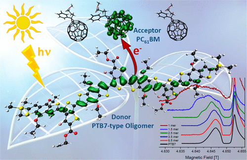Polaron and Exciton Delocalization in Oligomers of High-Performance ...