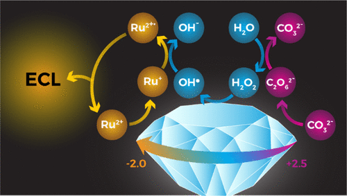Electrogenerated Chemiluminescence by in Situ Production of Coreactant ...