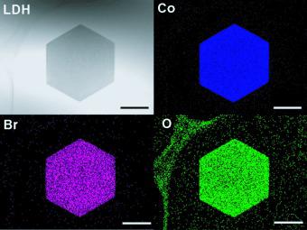 单金属（Co2 + -Co3 +）层状双氢氧化物的拓扑化学合成及其剥离成带正电的Co（OH）2纳米片。,Angewandte Chemie ...