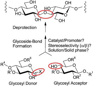New Principles for Glycoside‐Bond Formation,Angewandte Chemie ...