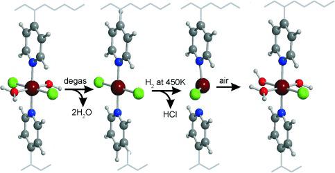 纳米多孔P4VP聚合物基质中分离的铜位的结构和氧化还原活性。,Angewandte Chemie International Edition ...