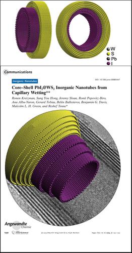 Core–Shell PbI2@WS2 Inorganic Nanotubes from Capillary Wetting ...