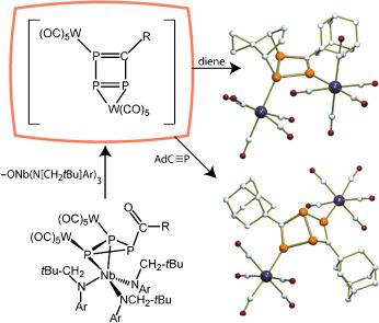 Tetraphosphabenzenes Obtained via a Triphosphacyclobutadiene ...