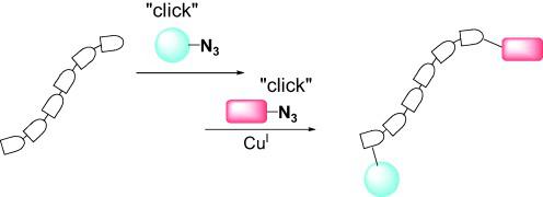Dual Labeling of Biomolecules by Using Click Chemistry: A Sequential ...