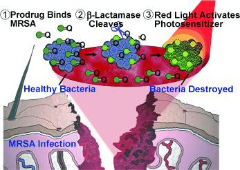 Exploiting a Bacterial Drug‐Resistance Mechanism: A Light‐Activated ...