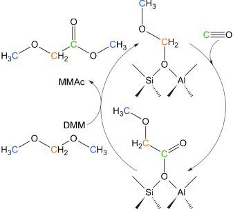Vapor‐Phase Carbonylation of Dimethoxymethane over H‐Faujasite ...