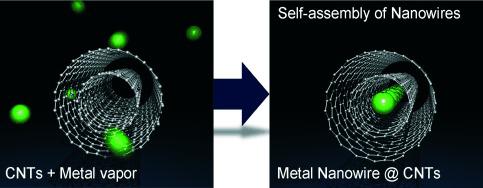 High‐Yield Synthesis of Ultrathin Metal Nanowires in Carbon Nanotubes ...