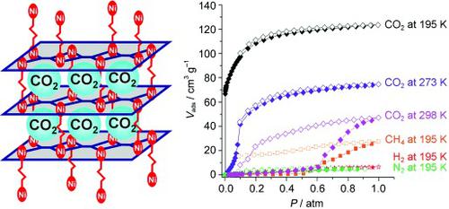 Highly Selective CO2 Capture in Flexible 3D Coordination Polymer ...
