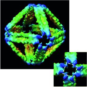 On the Chirality of Self‐Assembled DNA Octahedra,Angewandte Chemie ...