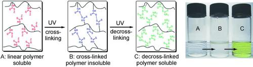 A Sulfur?Sulfur Cross‐Linked Polymer Synthesized from a Polymerizable ...