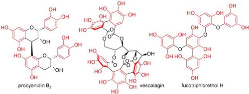 Plant Polyphenols: Chemical Properties, Biological Activities, and ...