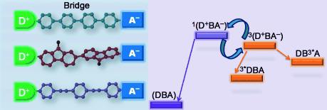 Comparing Spin‐Selective Charge Transport through Donor–Bridge–Acceptor ...