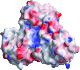 Reductive Dehydroxylation of Allyl Alcohols by IspH Protein,Angewandte ...