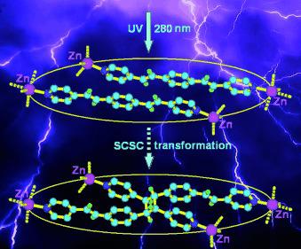 Single‐Crystal‐to‐Single‐Crystal Transformations of Two Three ...