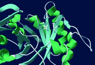 An Artificial Metalloenzyme: Creation of a Designed Copper Binding Site ...