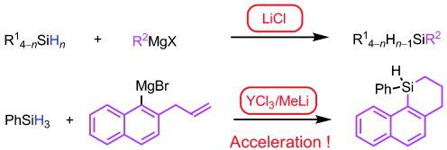 Acceleration of the Substitution of Silanes with Grignard Reagents by ...