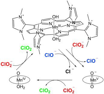 Catalytic Generation of Chlorine Dioxide from Chlorite Using a Water ...