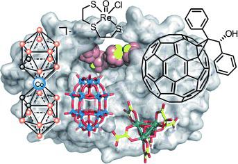 从常规到不常见的酶抑制剂支架：对靶标特异性的追求,Angewandte Chemie International Edition - X-MOL