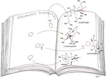 Dearomatization Strategies in the Synthesis of Complex Natural Products ...