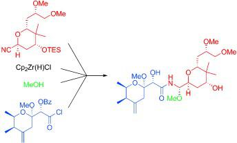 Total Synthesis of Pederin and Analogues,Angewandte Chemie ...