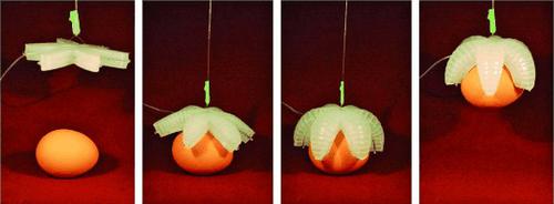 Soft Robotics for Chemists,Angewandte Chemie International Edition - X-MOL