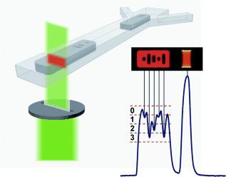 Rapid microRNA Profiling on Encoded Gel Microparticles,Angewandte ...