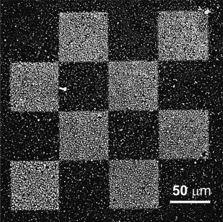 Electron‐Beam‐Induced Deposition of Metallic Microstructures from a ...