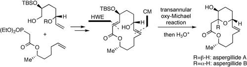 Total Synthesis of Aspergillide A and B Based on the Transannular Oxy ...